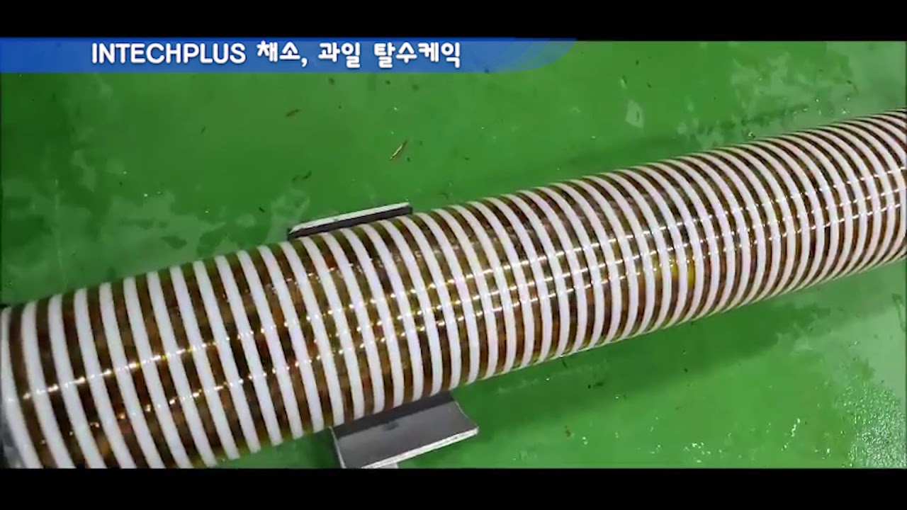 [INTECH PLUS] HOSE PUMP 채소, 과일 탈수 케익 이송 -인테크플러스- - YouTube