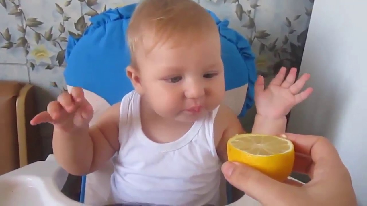 Babies Eating Lemons ★ Funny Kids Videos ★ Baby Popcy - YouTube