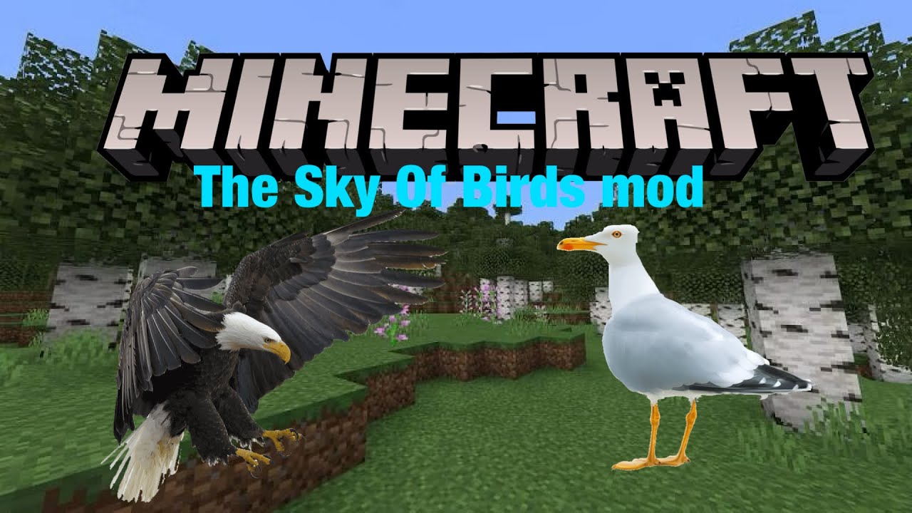 Minecraft (The Sky Of Birds mod) - YouTube