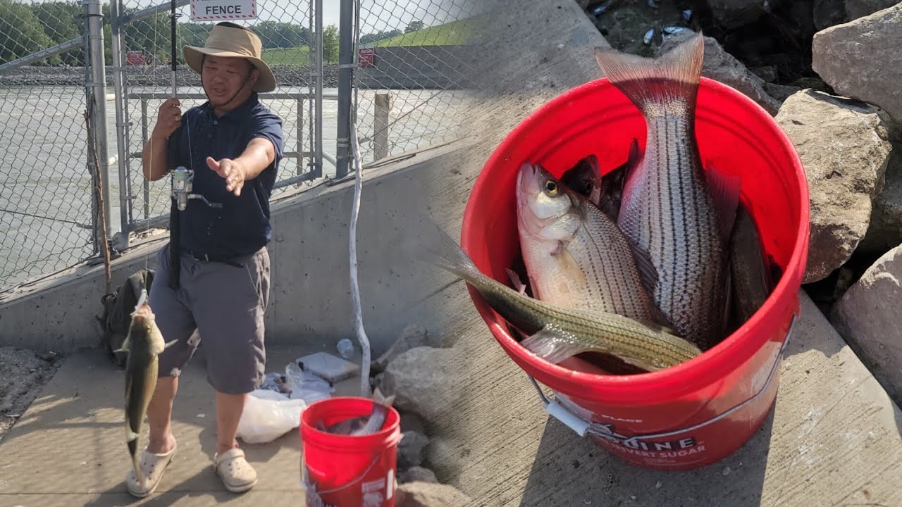 RED ROCK Dam, our little fishing trip this week. - YouTube