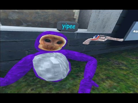 Capuchin Beta Is Crazy - YouTube