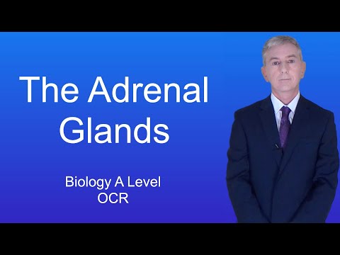 A Level Biology Revision (Year 13) \