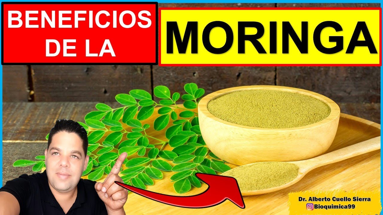Beneficios de la MORINGA - YouTube