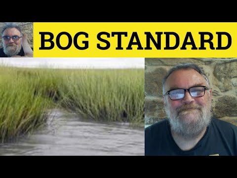🔵 Bog Standard - Slang - ESL British English Pronunciation - YouTube