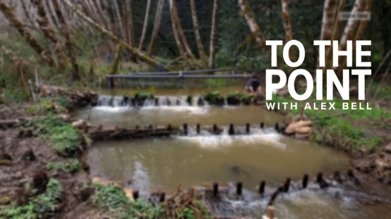 Here is how beavers are helping in California's firefight | To The ...