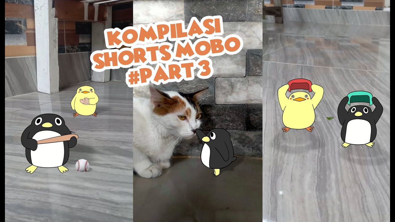 Keabsurdan Mobo dan Ciri 🐧🐥 | kompilasi shorts Mobo #part3 - YouTube