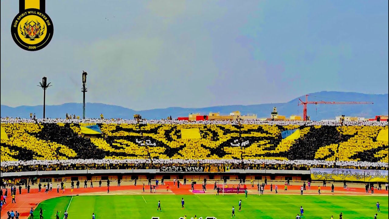 Tifo Fatal Tigers 💛🖤 رجال المدينة 😍 - YouTube