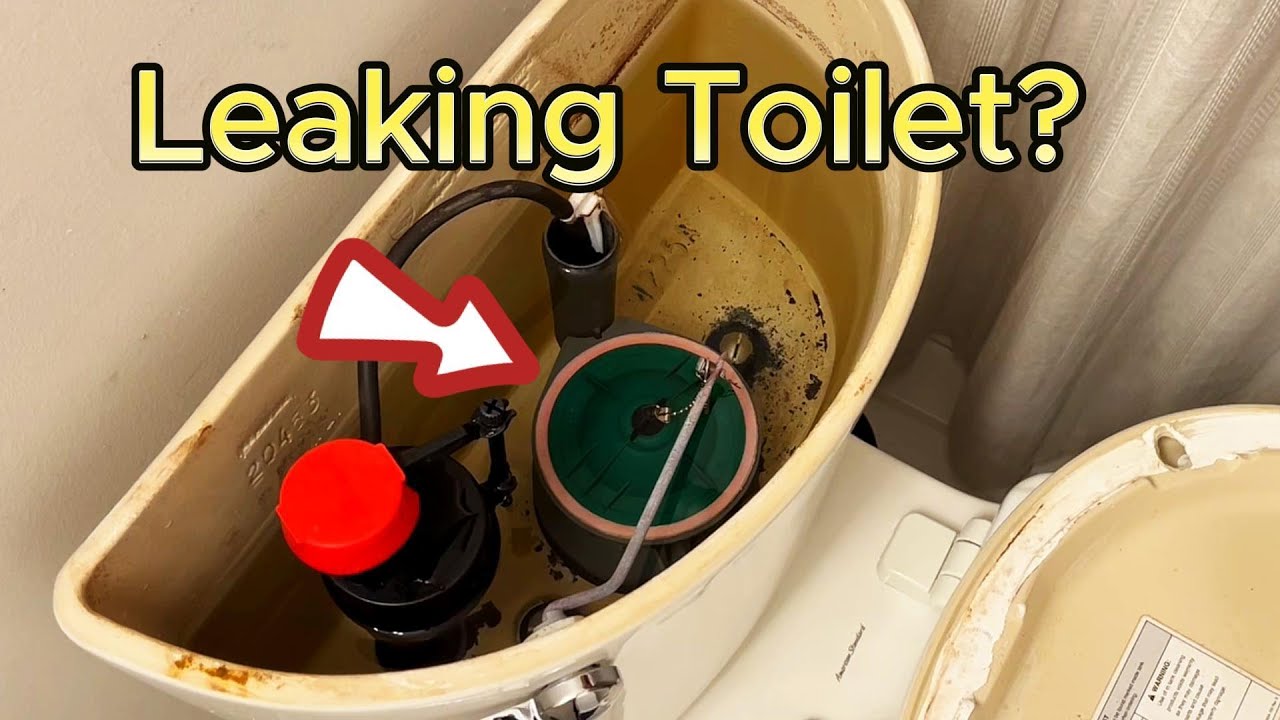 Toilet Troubles #diy #toilet #plumbing - YouTube