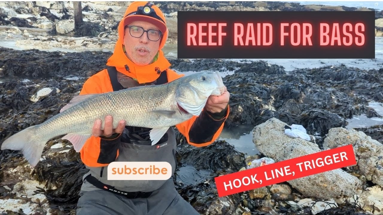 REEF RAID FOR BASS - UK BASS FISHING - UK SEA FISHING - LABRAX - YouTube