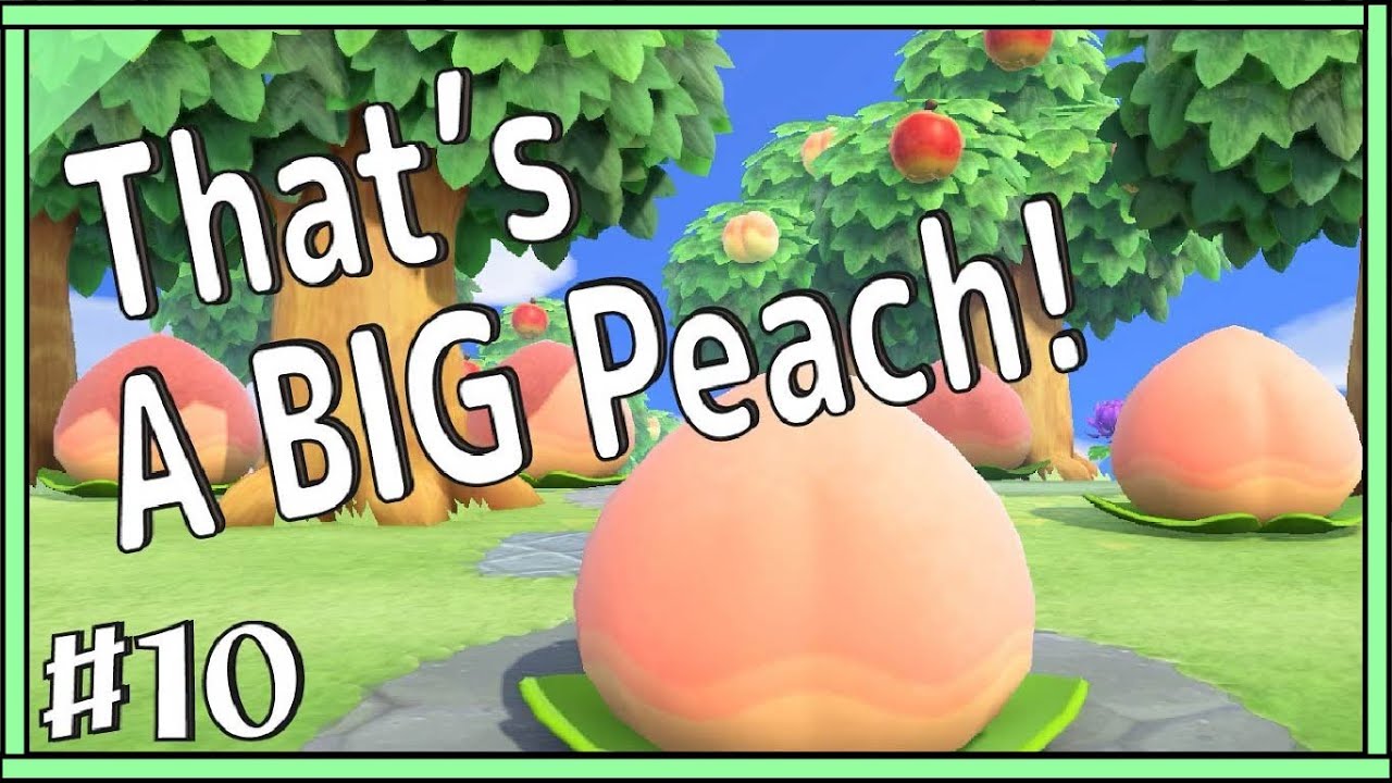 - ACNH Day 10 - Designing an Island in 30 Days for my Autofill ...
