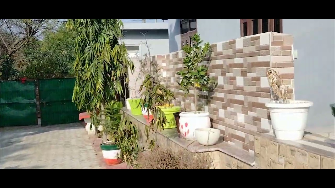 birds , चिडिया - YouTube