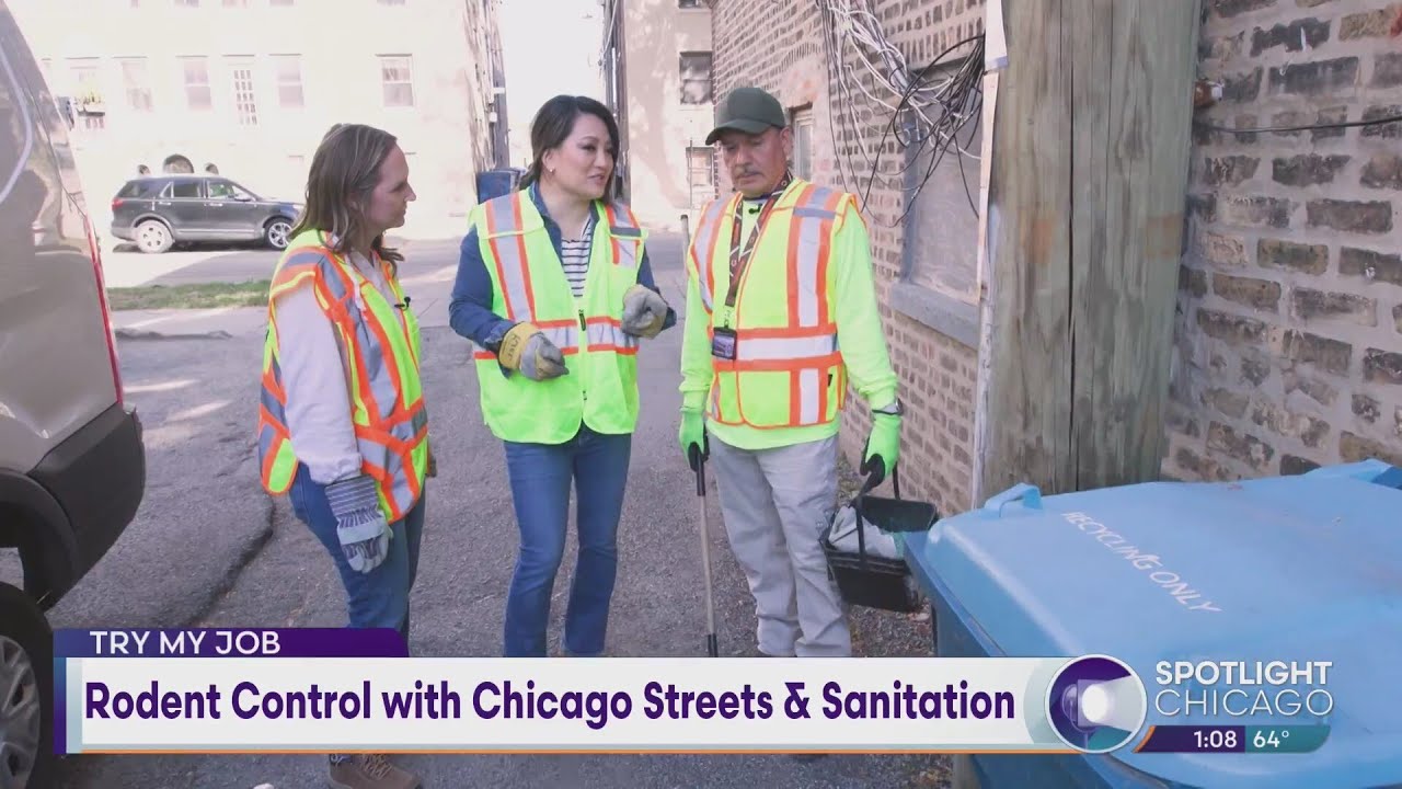 Try My Job: Rodent Control with Chicago Streets & Sanitation - YouTube