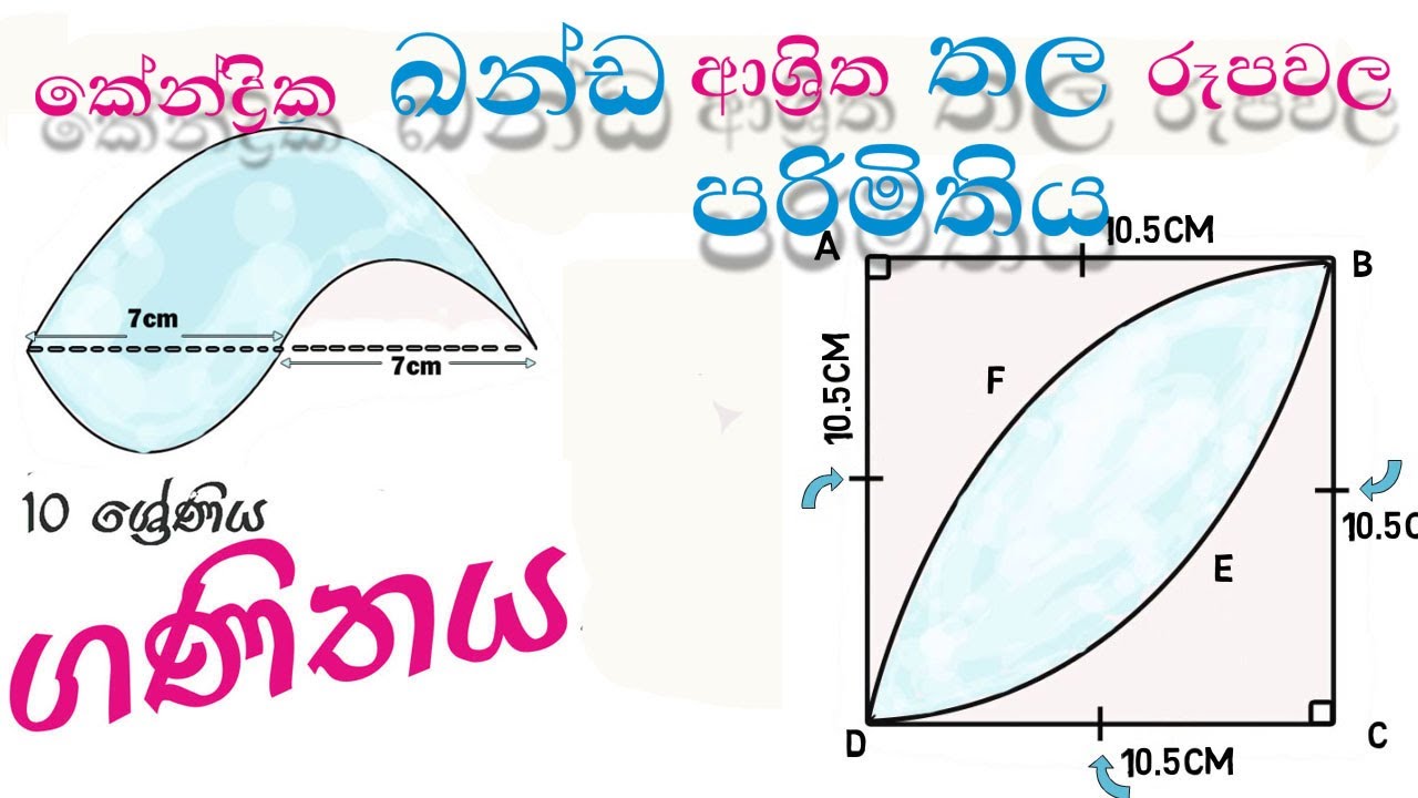 O/L grade 10 parimithiya| Perimeter| parimithiya sinhala| Lesson 3 ...