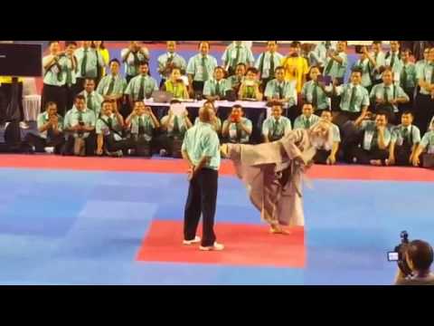 Kang Shin Chul - Grandmaster of Taekwondo - YouTube