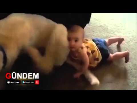 Birbirinden şirin bebekler yüzünüzde koca bir gülümseme bırakacak