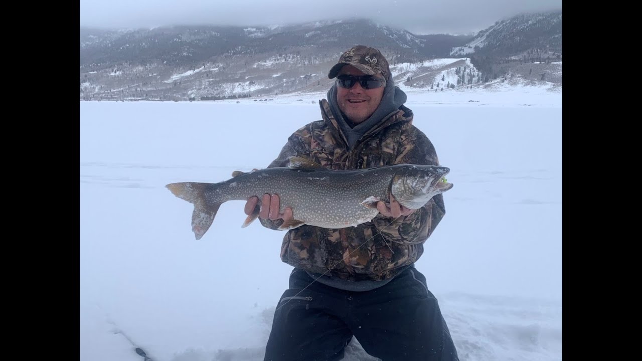 Monster fish lake Utah lake trout - YouTube