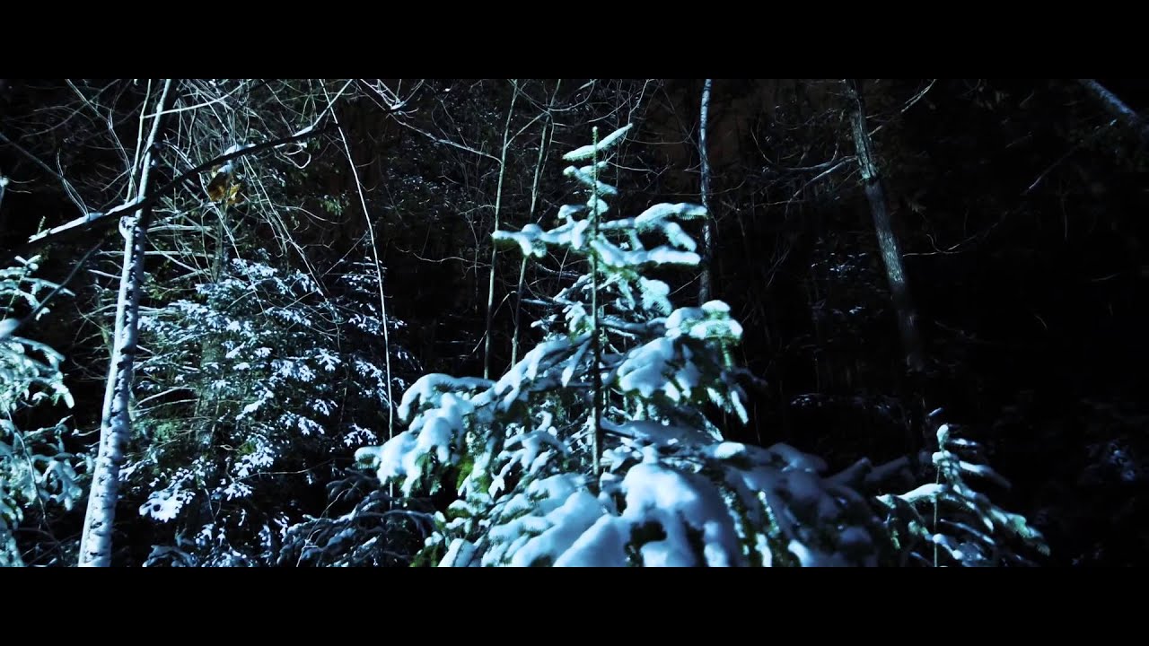 Frozen Shadows - YouTube