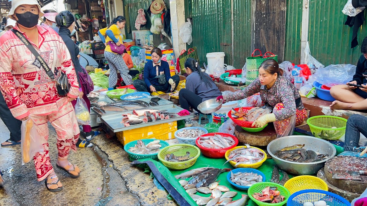 Non- Stop Market Food Show - Raw & Authentic Food: Massive Supply of ...