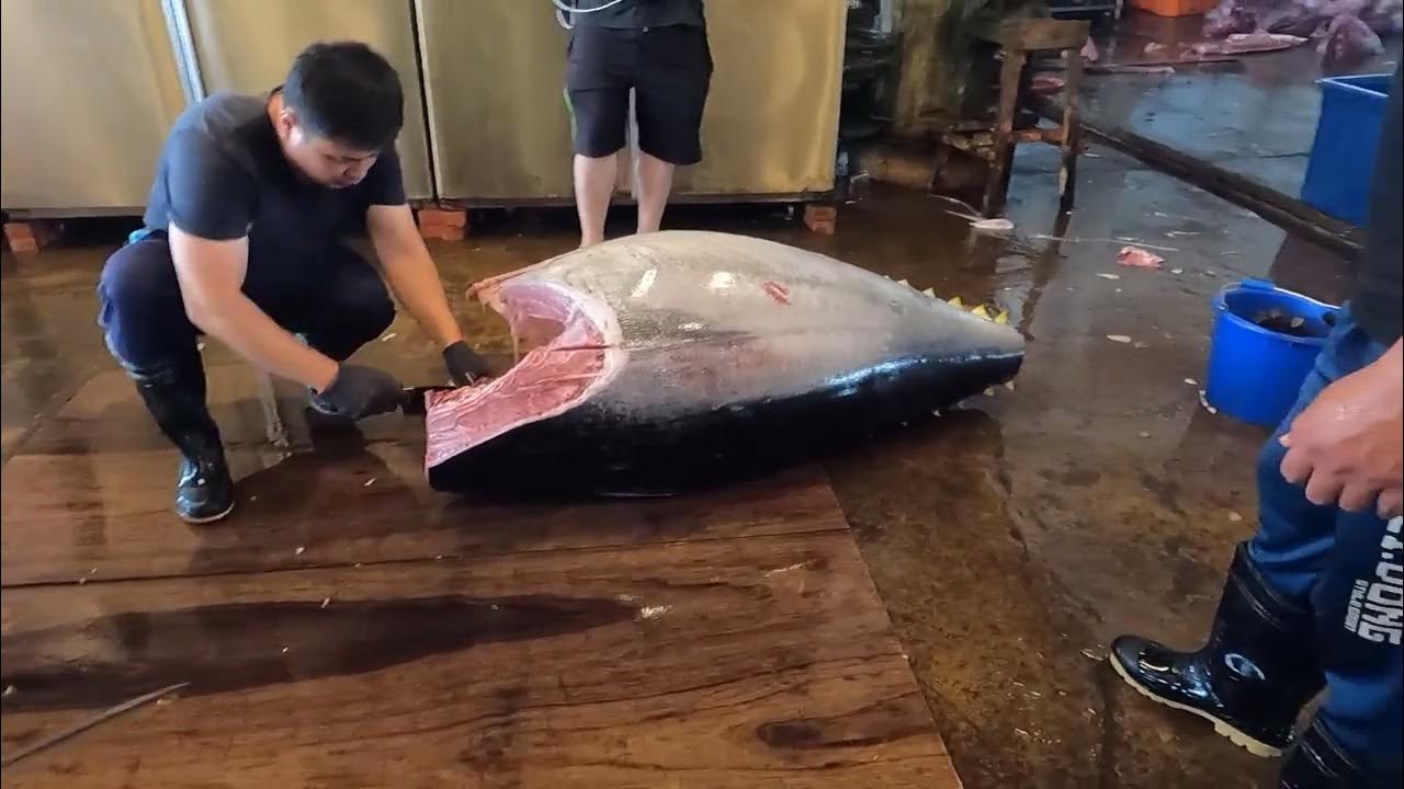 Amazing 458kg Giant Bluefin Tuna Cutting Skill - YouTube