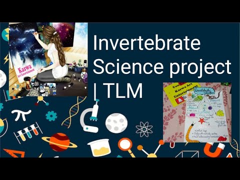 Invertebrate Science project | TLM - YouTube