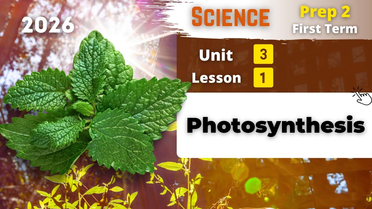 Prep.2 | Photosynthesis | Unit 3 - Lesson 1 | Science - YouTube