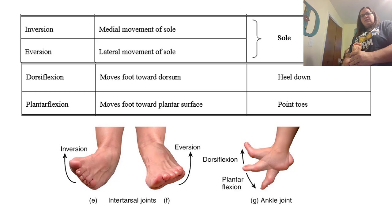 Joints Part 2 - YouTube