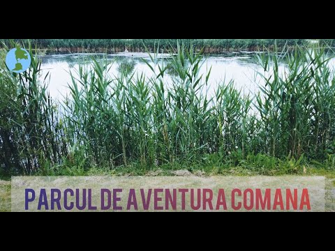 [4K 📹] Parcul de Aventura Comana 🌳 Comana, Romania 🇷🇴 - YouTube