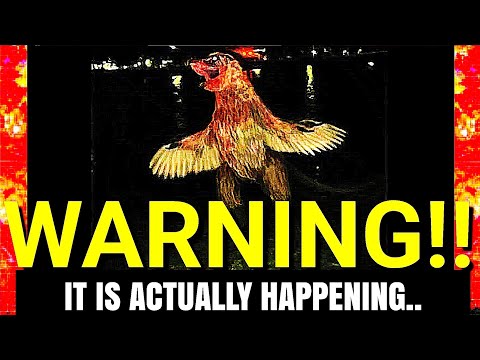 Strange Videos That Have Me Extremely Puzzled!