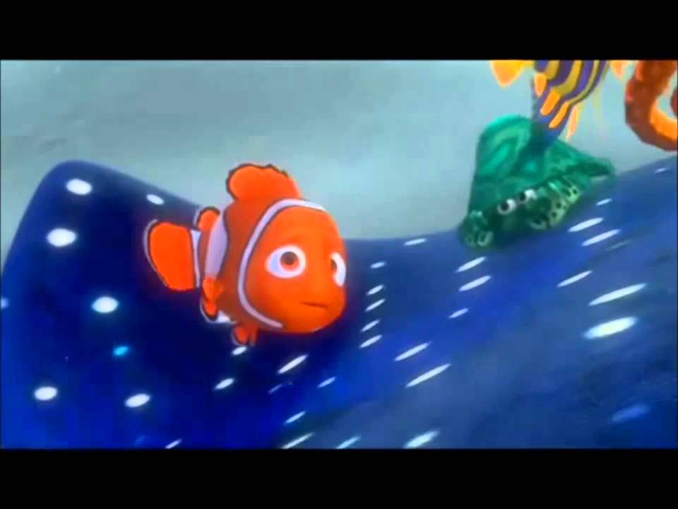 Νέμο Ανεμώνη - nemo anemonh - YouTube