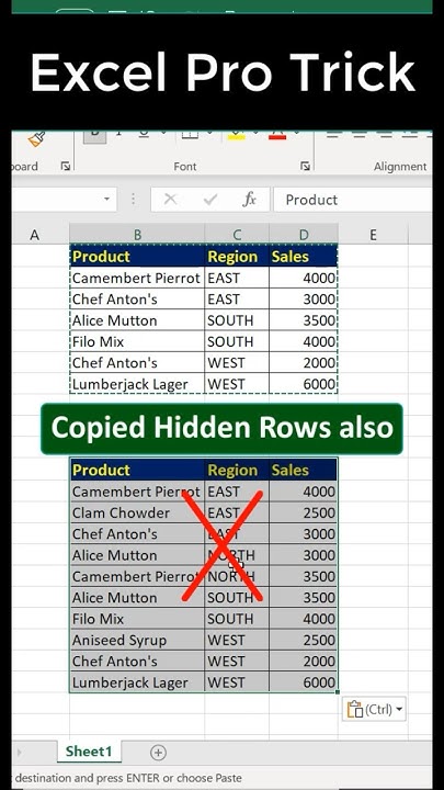 Excel Magic Trick Copy Visible Cells Only Shorts Excel Exceltips Youtube