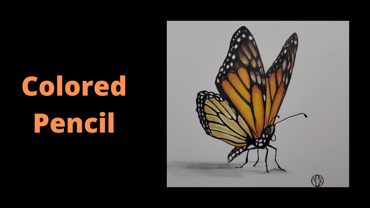 realistic colored pencil [ Butterfly time lapse] - YouTube