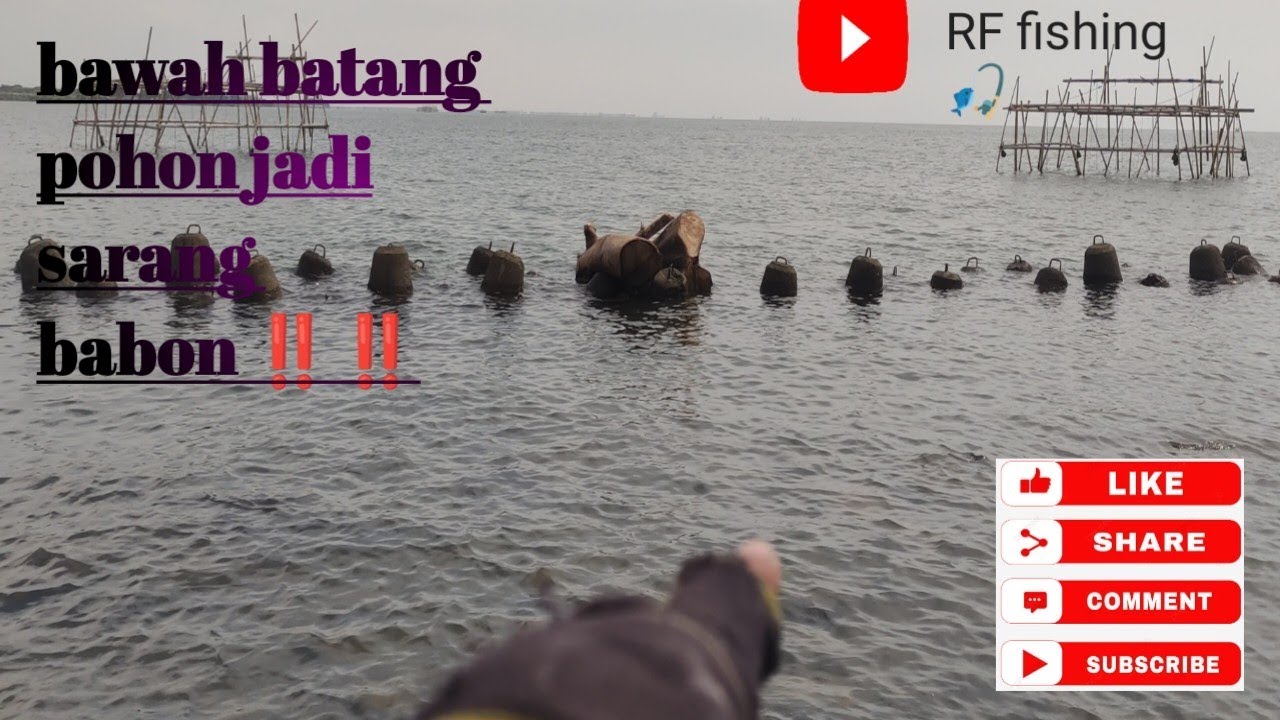 KEJUTAN‼️di pantai cipta - spot mancing pantai cipta Semarang # ...