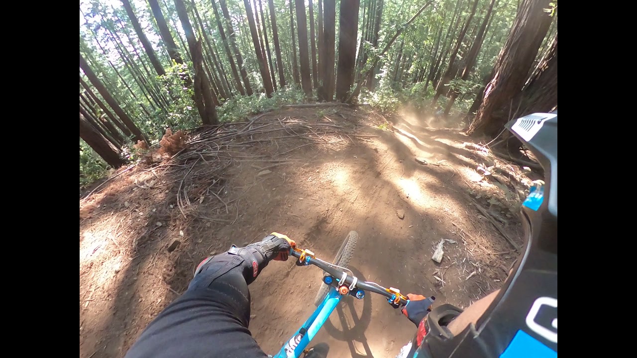 Cruising in the woods! - YouTube