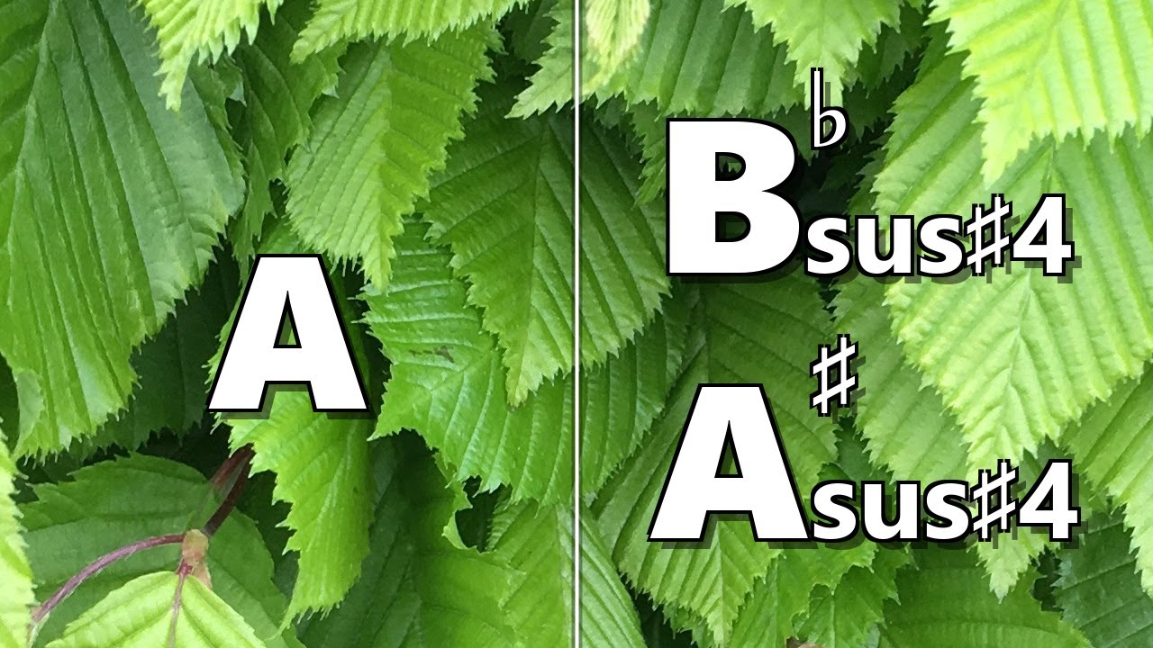 A to Bbsus #4 (A#sus #4) Backing Track - YouTube