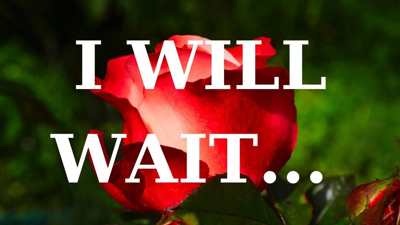 My king I will wait/love poem - YouTube