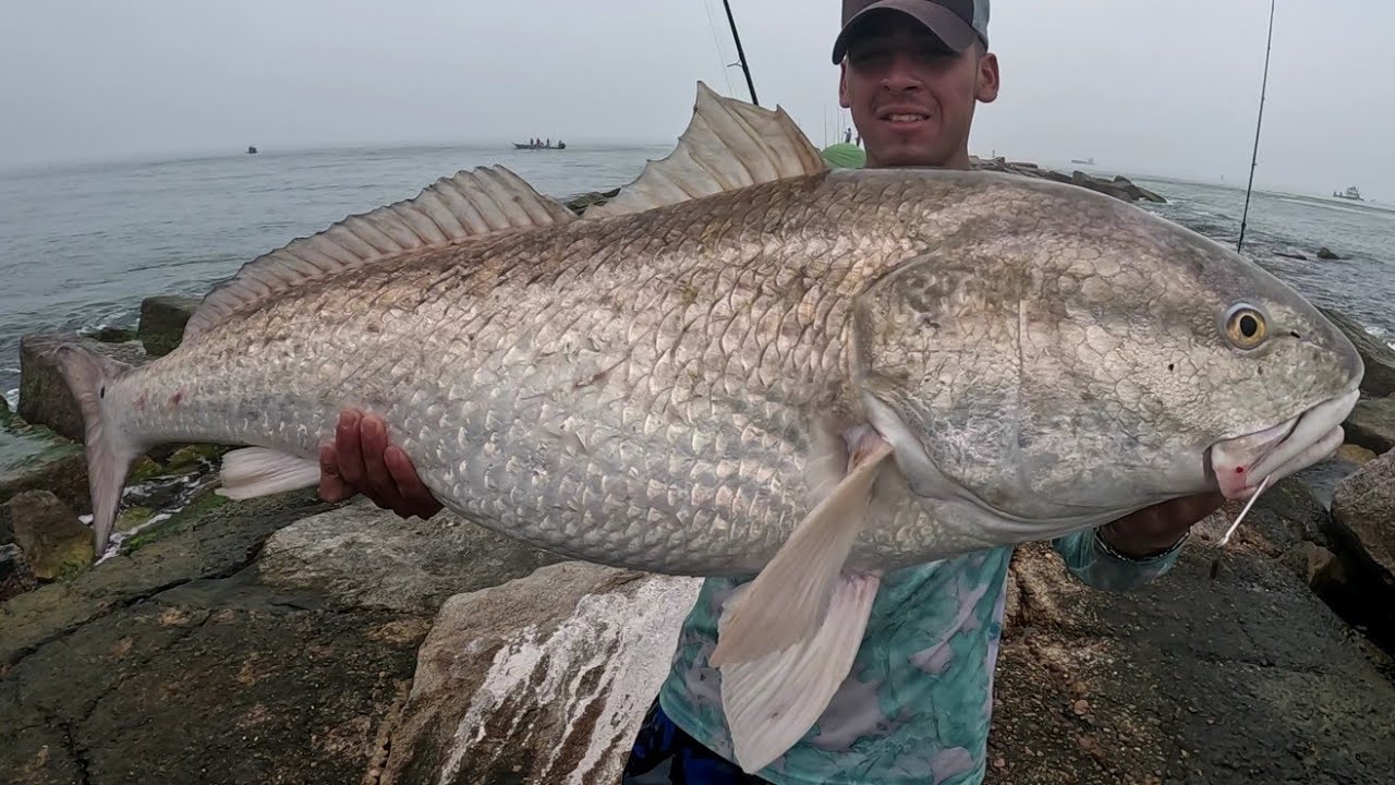 EXTREME JETTY FISHIING! waking up to non-stop BIG FISH ACTION! - YouTube