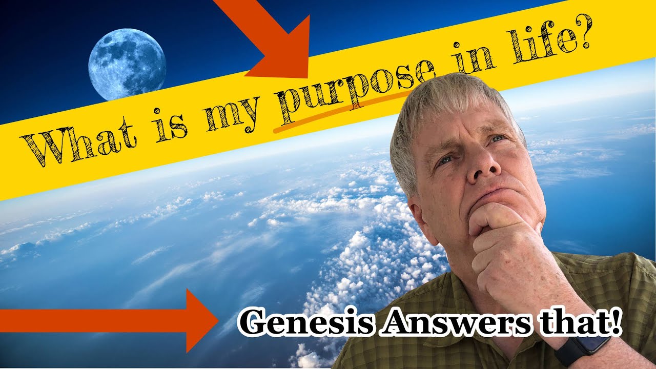 What is my purpose in life? Genesis Answers this! - YouTube