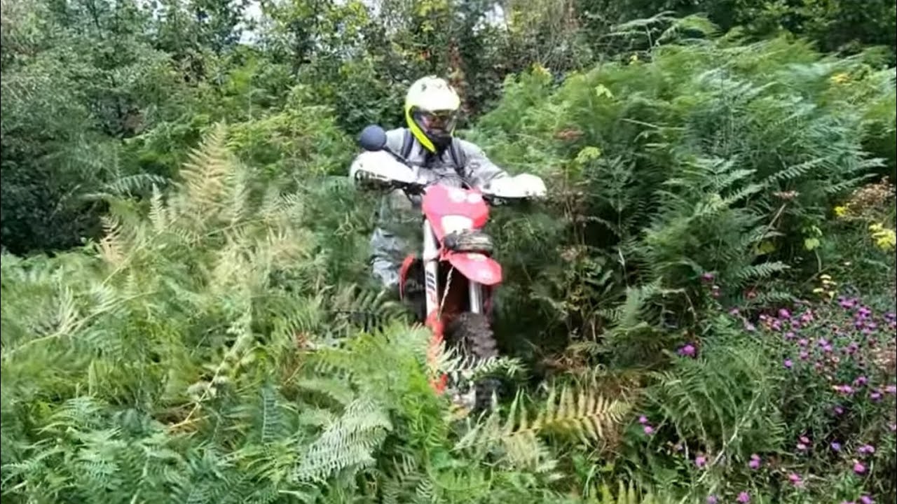 Meifod August 2023 part 1 - YouTube