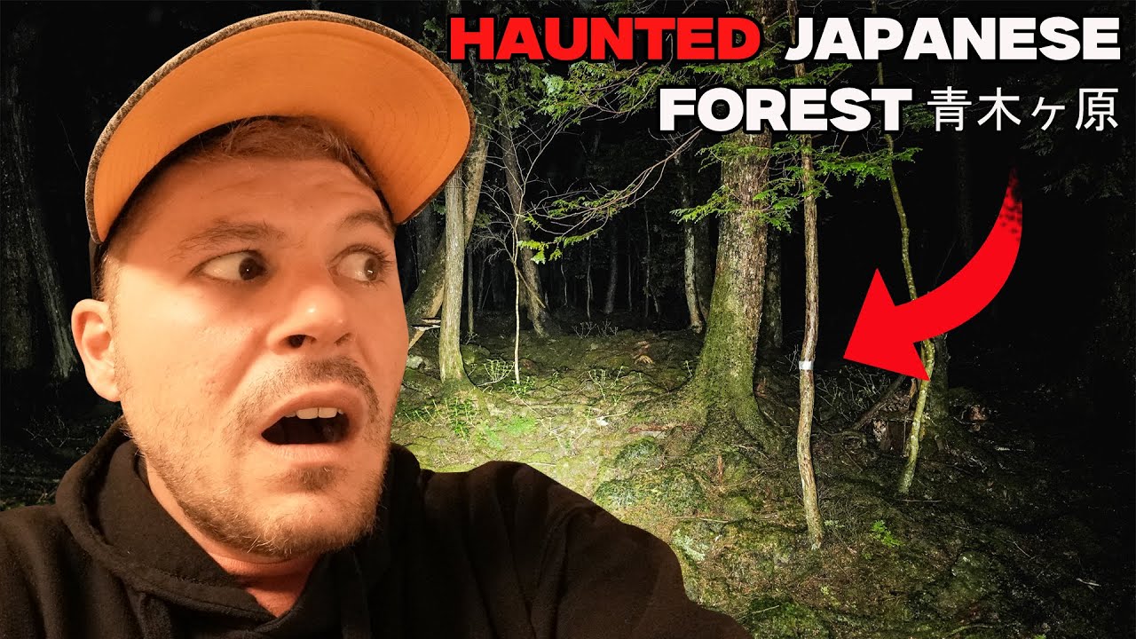 (VERY SCARY) DISTURBING FIND IN JAPANS MOST HAUNTED SUICIDE FOREST ...