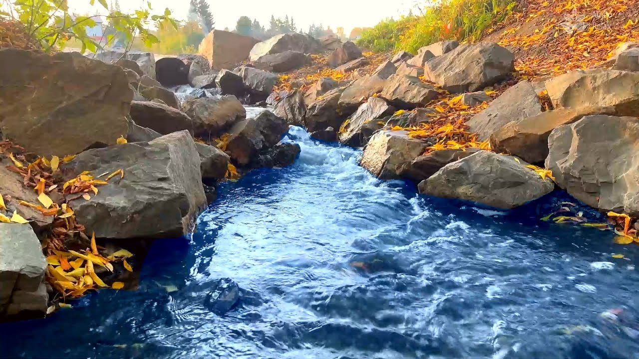Autumn Brook | 10 Hours of Soothing Nature Sounds for Sleep and ...