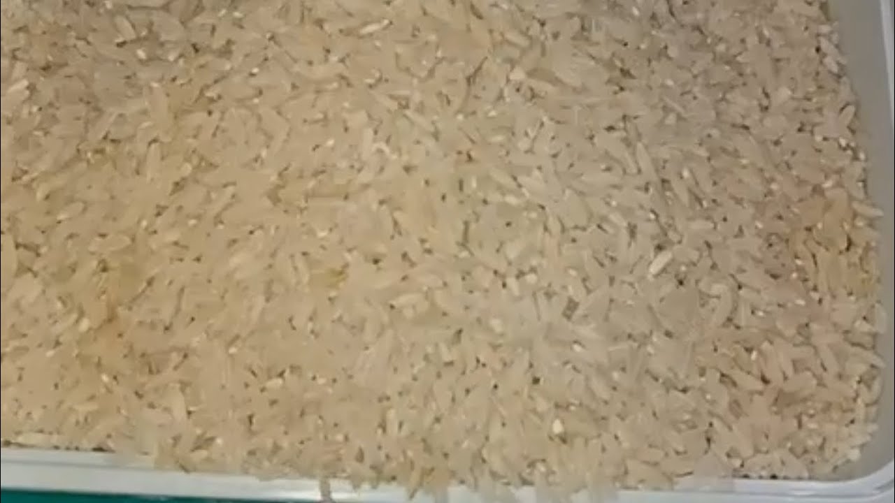 Satisfying Sound Pouring Raw Rice n Mini pot | Rice Sound play ...