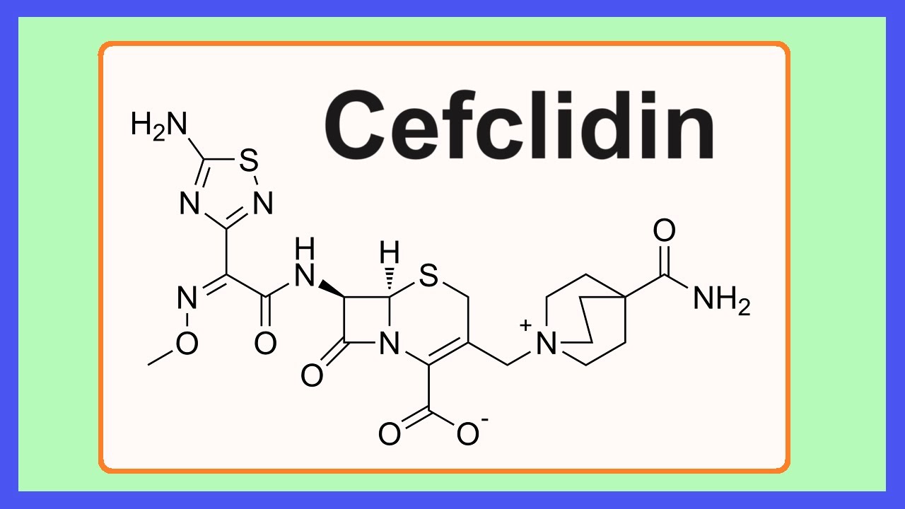 cefclidin - YouTube