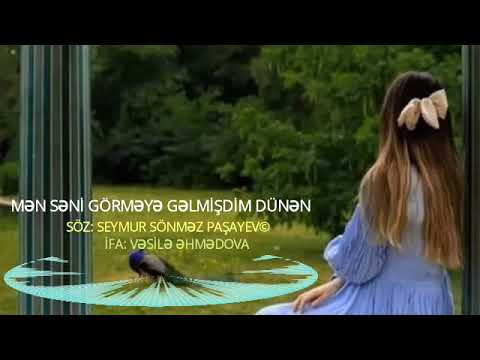 MƏN SƏNİ GÖRMƏYƏ GƏLMİŞDİM DÜNƏN