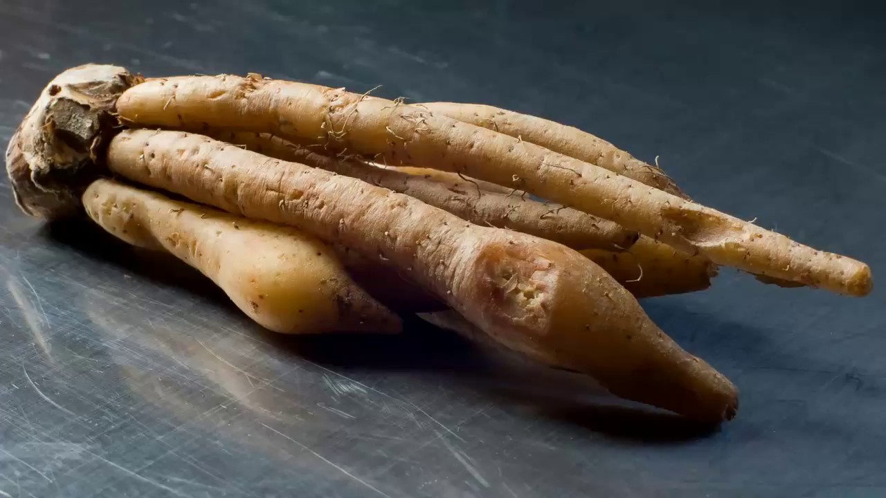 Lesser Ginger - YouTube