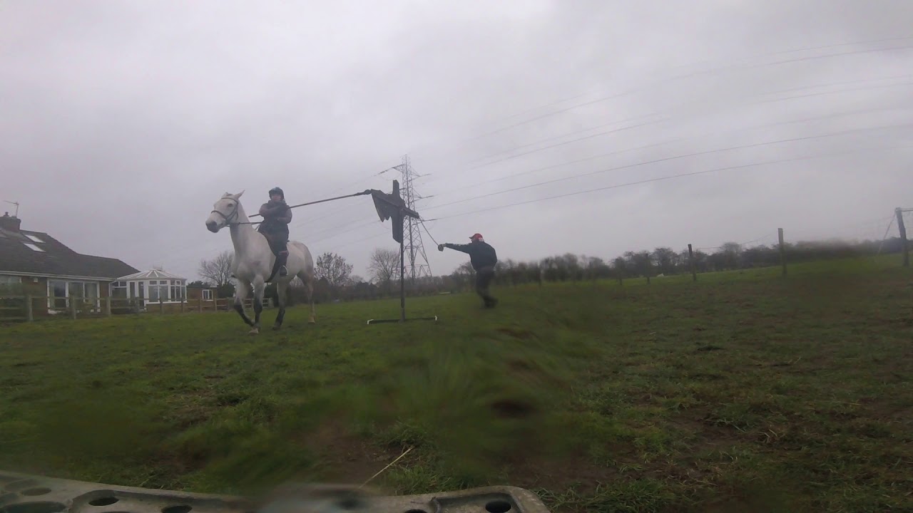 Equistry 1st Training Day for Bella - YouTube