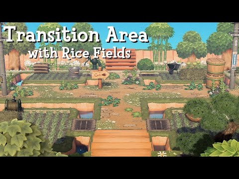 Transition with Rice Fields ACNH Build 🍃 // Animal Crossing New ...