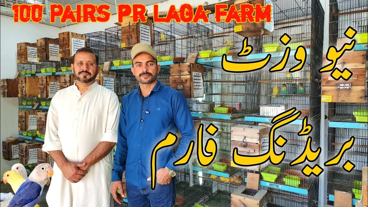 New visited BiRD Setup || Hedar Abbas Aviary # ...