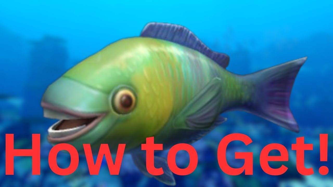 How to get the Parrot Fishface in Roblox! - YouTube