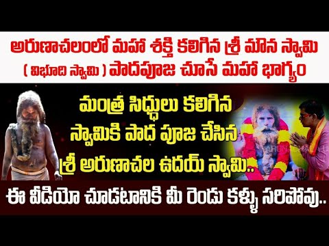 Tiruvannamalai Sidhayar Sri Mouna Swami ( Vibudhi Swami ) #arunachala # ...