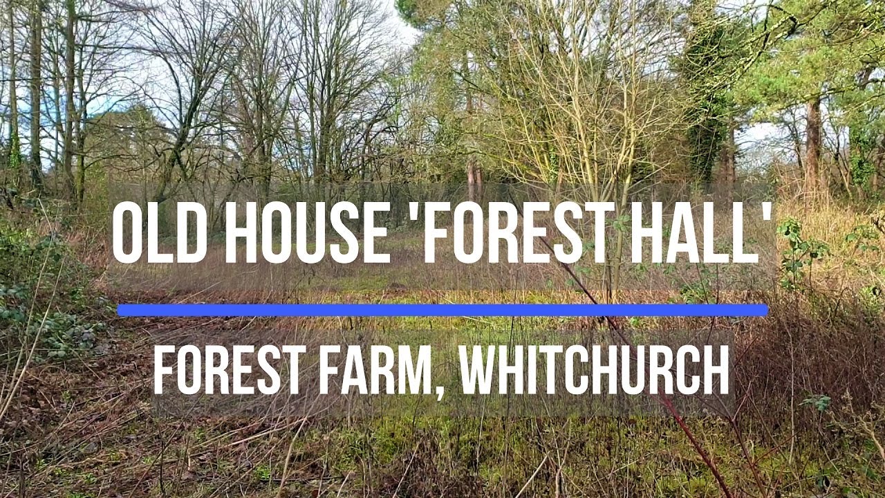 Old house called Forest Hall at Forest Farm, Whitchurch, Cardiff. - YouTube